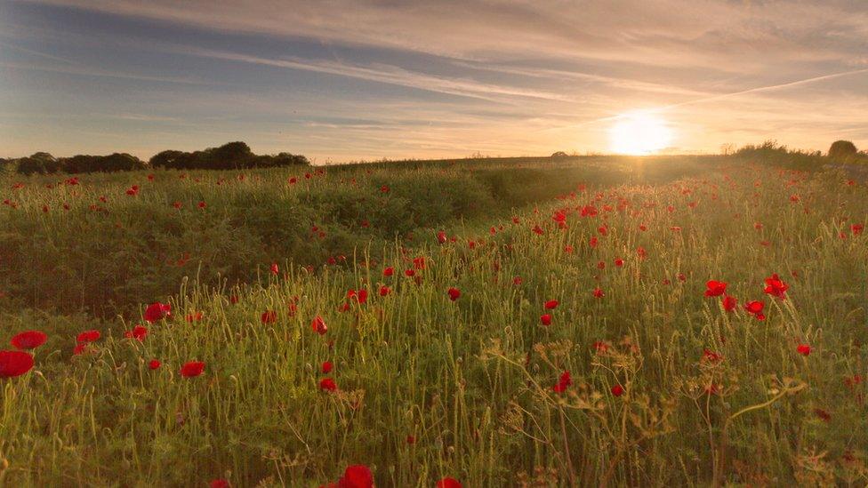 Your fabulous weather pictures - BBC Weather