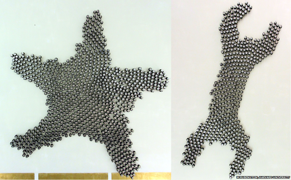 Thousand-strong robot swarm throws shapes, slowly - BBC News