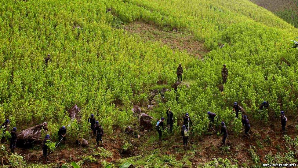 Day in pictures: 4 September 2014 - BBC News