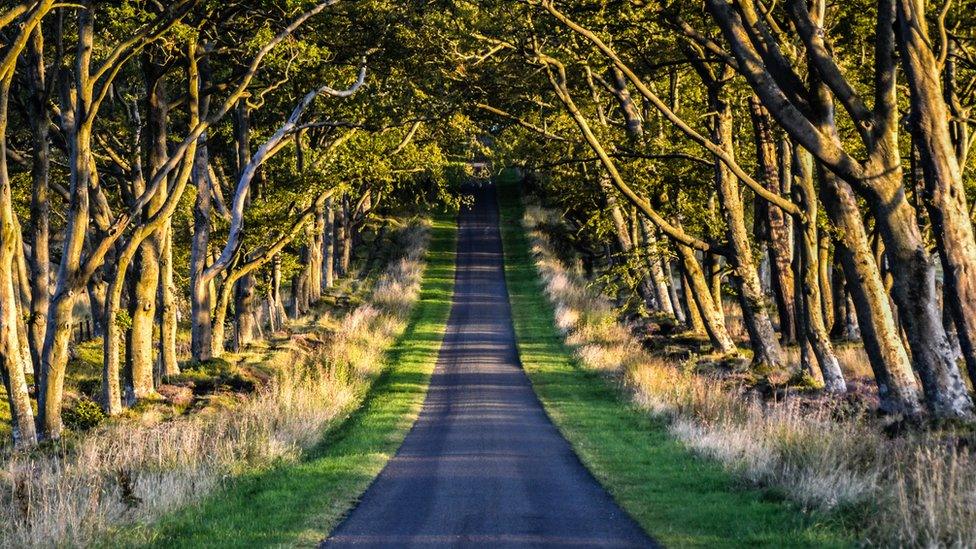 Your pictures of Scotland: 29 August - 5 September - BBC News