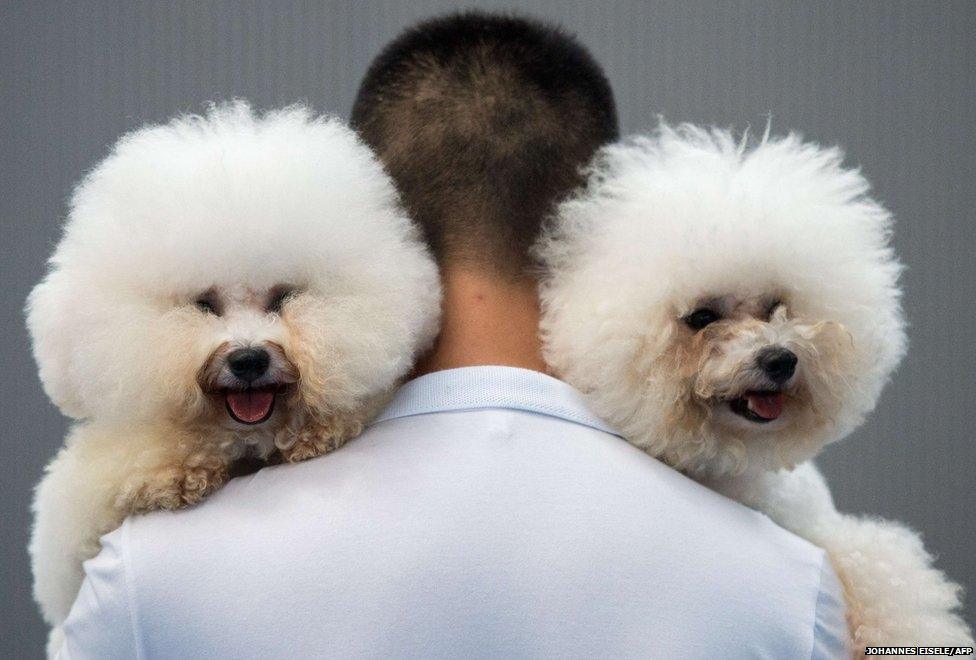 Day in pictures: 8 September 2014 - BBC News