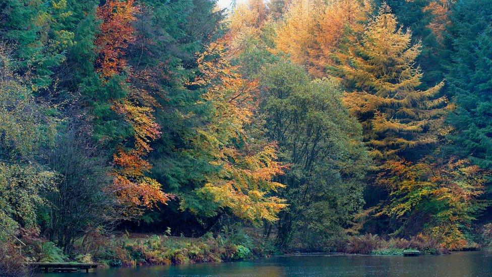 Your photos of Autumn colour - BBC Weather