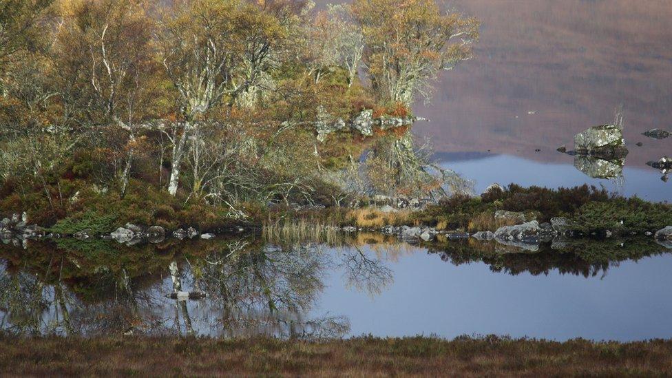 Your pictures of Scotland: 24 - 31 October - BBC News
