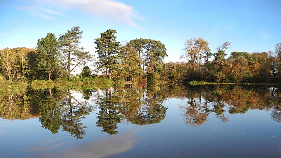 Your Pictures: Photos from Wales - BBC News