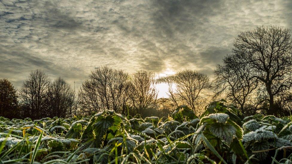 Your frosty photos - BBC Weather