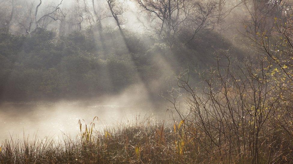 Your fog photos - BBC Weather