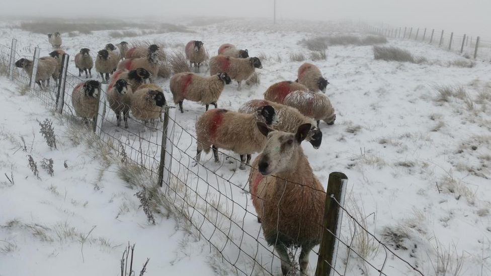 Your December weather pictures - BBC Weather