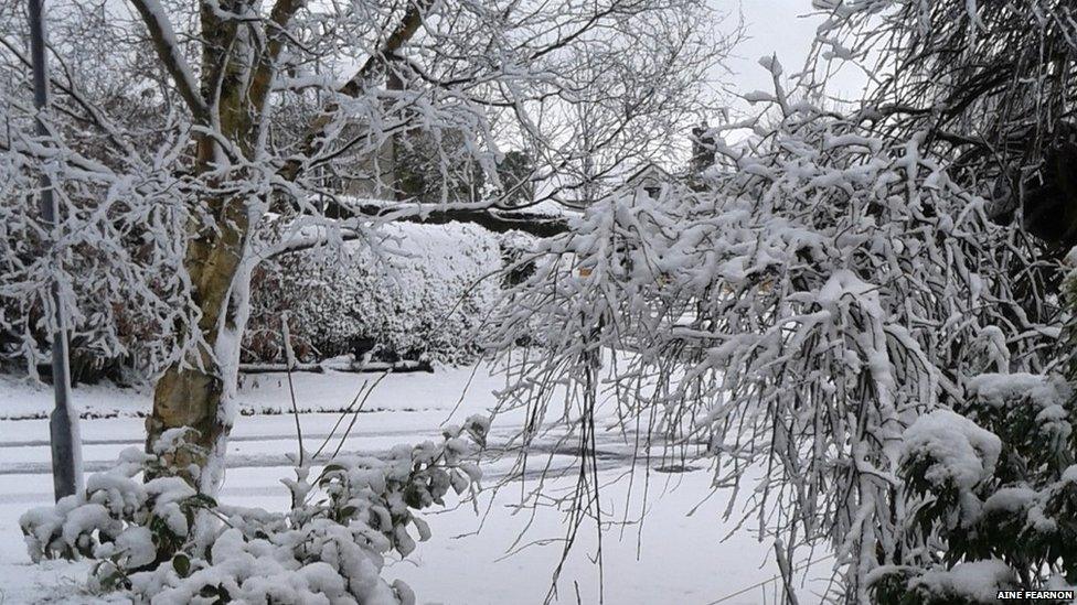 In pictures: Snowfall across Northern Ireland - BBC News