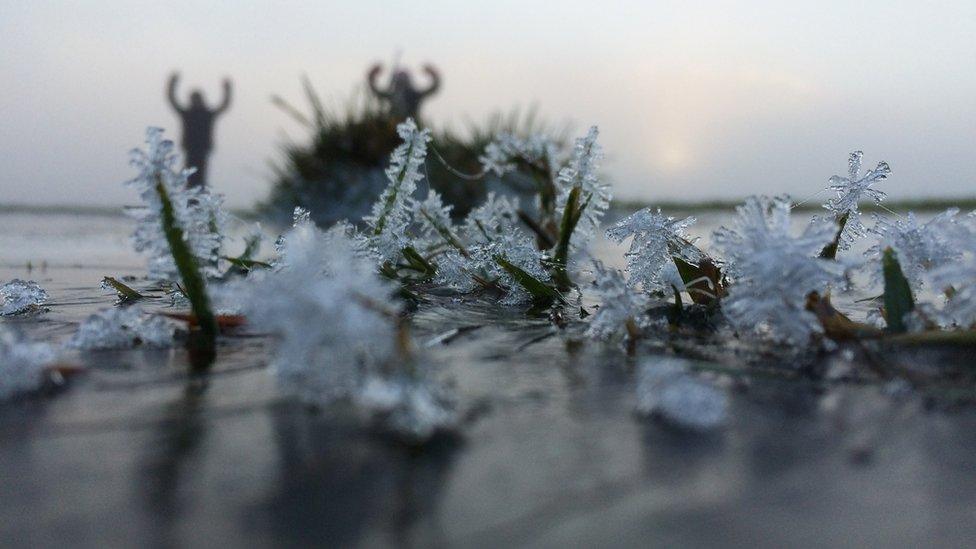 Your pictures of Scotland: 9 - 16 January - BBC News
