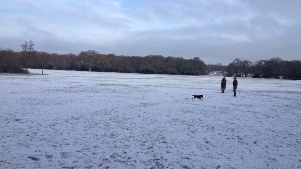Snow scenes from across Hampshire - BBC News