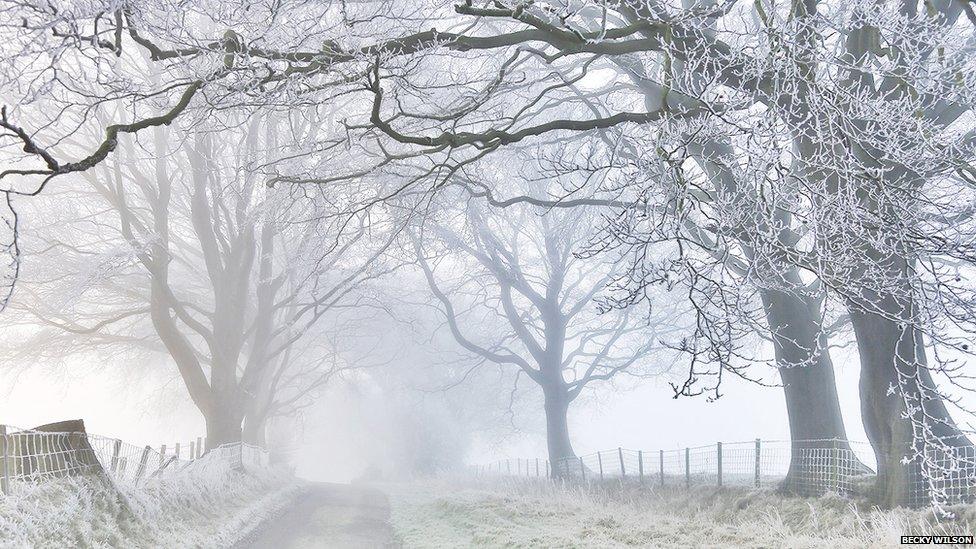 Your February weather photos - BBC Weather