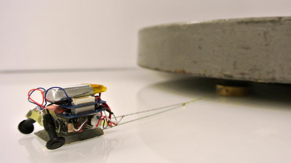 Seven animals that have inspired modern technology - BBC Newsround