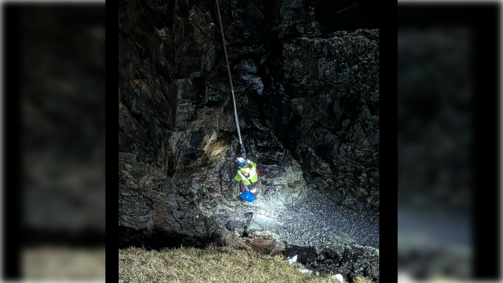 Cobhair air cù a bh' air a dhol air na creagan an Ùig ann an Leòdhas ...