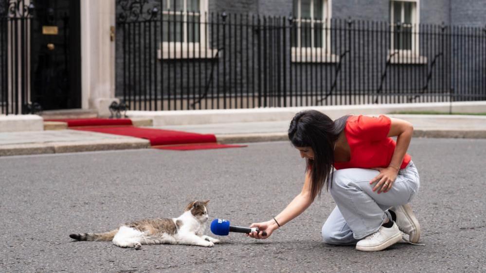 Larry the cat marks 15 years as No 10's chief mouser - BBC News