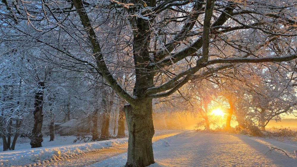 Your pictures of Scotland: Photographs from around the country - BBC News