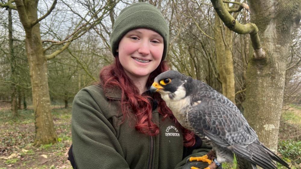 H is for Hawk: The 'secretive' Goshawks starring in Hollywood film ...
