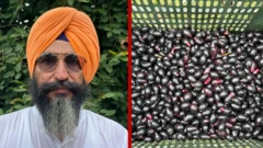 ਜਾਮਣ