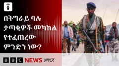 በትግራይ ባሉ ታጣቂዎች መካከል የተፈጠረው ምንድን ነው?