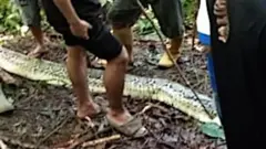 Labaran Duniya - BBC News Hausa