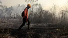 Petugas BPBD Kabupaten Kubu Raya berjalan di area kebakaran lahan gambut di Desa Durian, Kecamatan Sungai Ambawang, Kalimantan Barat, 29 Juli 2025.