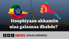 Gaaffii ulaa galaanaa Itoophiyaa