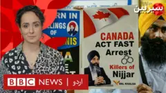 خبریں، تازہ خبریں، بریکنگ نیو | News, latest news, breaking news - BBC ...