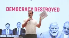 రాహుల్ గాంధీ, కేంద్ర ఎన్నికల సంఘం, ఓటర్ల జాబితా