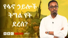የአማራ ክልል ግጭት ምን አሳካ? የፋኖ ኃይሎች ትግልስ የት ደረሰ?