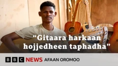 Ogeessa gitaaraa