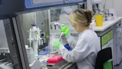 vakcine