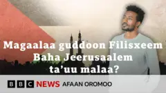 Biyyoota meeqatu Filisxeemiif beekkamtii biyyummaa kenne? Kan didanihoo?
