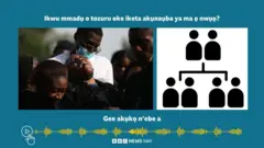 Ogbako - BBC News Ìgbò