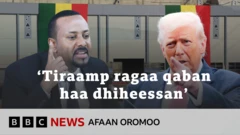 Muddama Hidha Abbayyaa