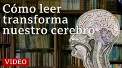 Cómo leer transforma nuestro cerebro