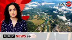 سیربین
