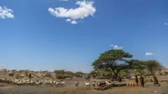 Waraana Bilisummaa Oromoo (WBO)/ABO-Shanee - BBC News Afaan Oromoo