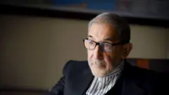 علی اکبر ولایتی، مشاور امور بین المللی علی خامنه ای، رهبر جمهوری اسلامی ایران
