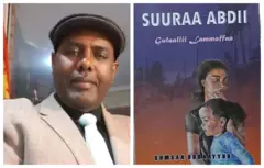 ABO (Adda Bilisummaa Oromoo) - BBC News Afaan Oromoo