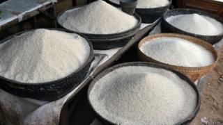 Almendra, vaca, soya: ¿cuál es la mejor leche para ti? - BBC News Mundo