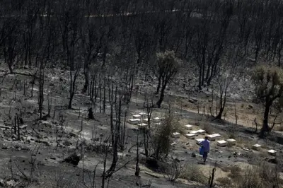 Alino Faso : Le Burkina Faso a ouvert une enquête pour "torture et assassinat" de l'influenceur ...