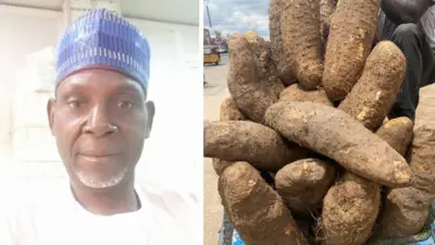 New minimum wage: When workers go begin collect N70,000 after President Bola Tinubu sign di bill ...