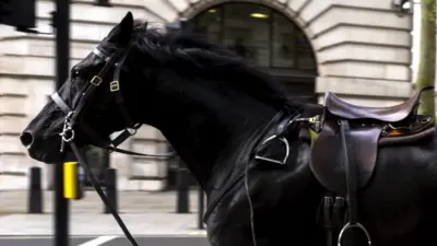 Titanic sub search: US Navy detected implosion sounds after sub lost contact - BBC News