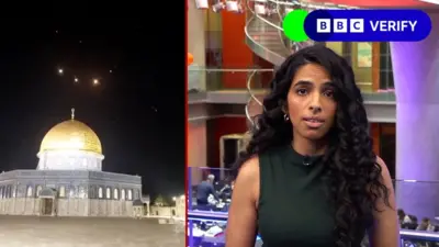 'Cuddly snake' lost at T in the Park festival - BBC News