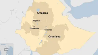 Waan waggaa haaraa irratti karoorsitan fiixaan baasuu maalii akka ...