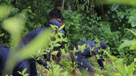 7 consecuencias negativas del Plan Colombia que quizás no conoces - BBC ...