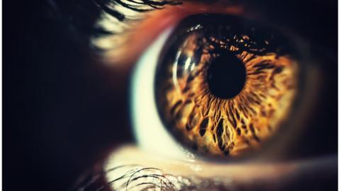 Por que o olho no olho é tão poderoso? - BBC News Brasil