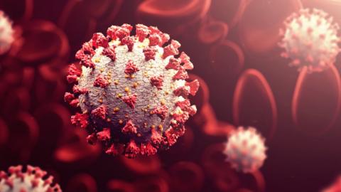 Vacinas contra covid: por que imunizante que não impede infecção pelo ...