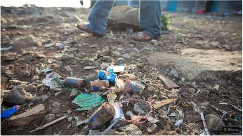 Como a fruta mais fedida do mundo pode ajudar a gerar energia para seu ...