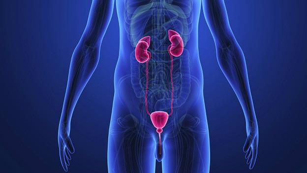 El sorprendente número de nuestros órganos que son prescindibles - BBC ...