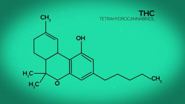 La marihuana de alta potencia bajo la lupa: ¿qué hay en el cannabis que ...
